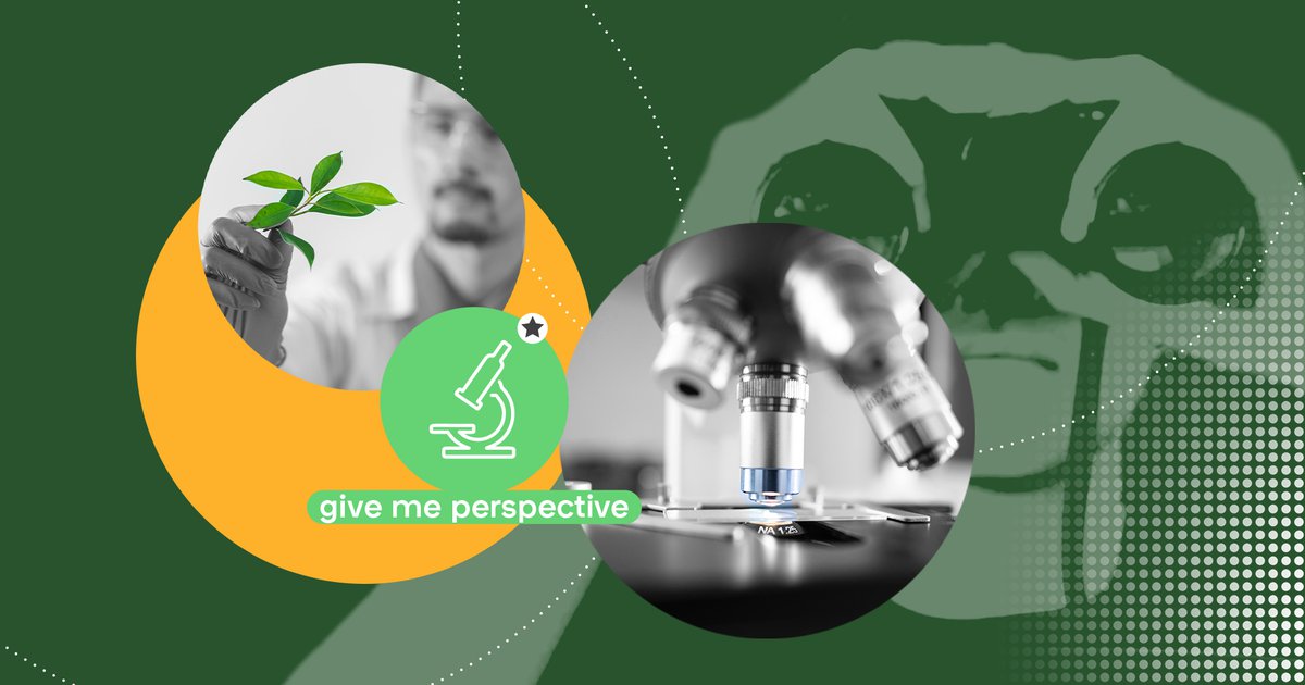 How to write a 'Give me perspective' article | smartocto